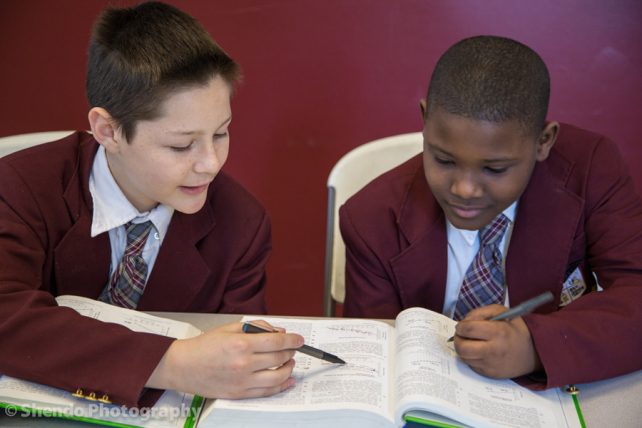 Memphis Academy of Science and Engineering « Musculoskeletal New ...